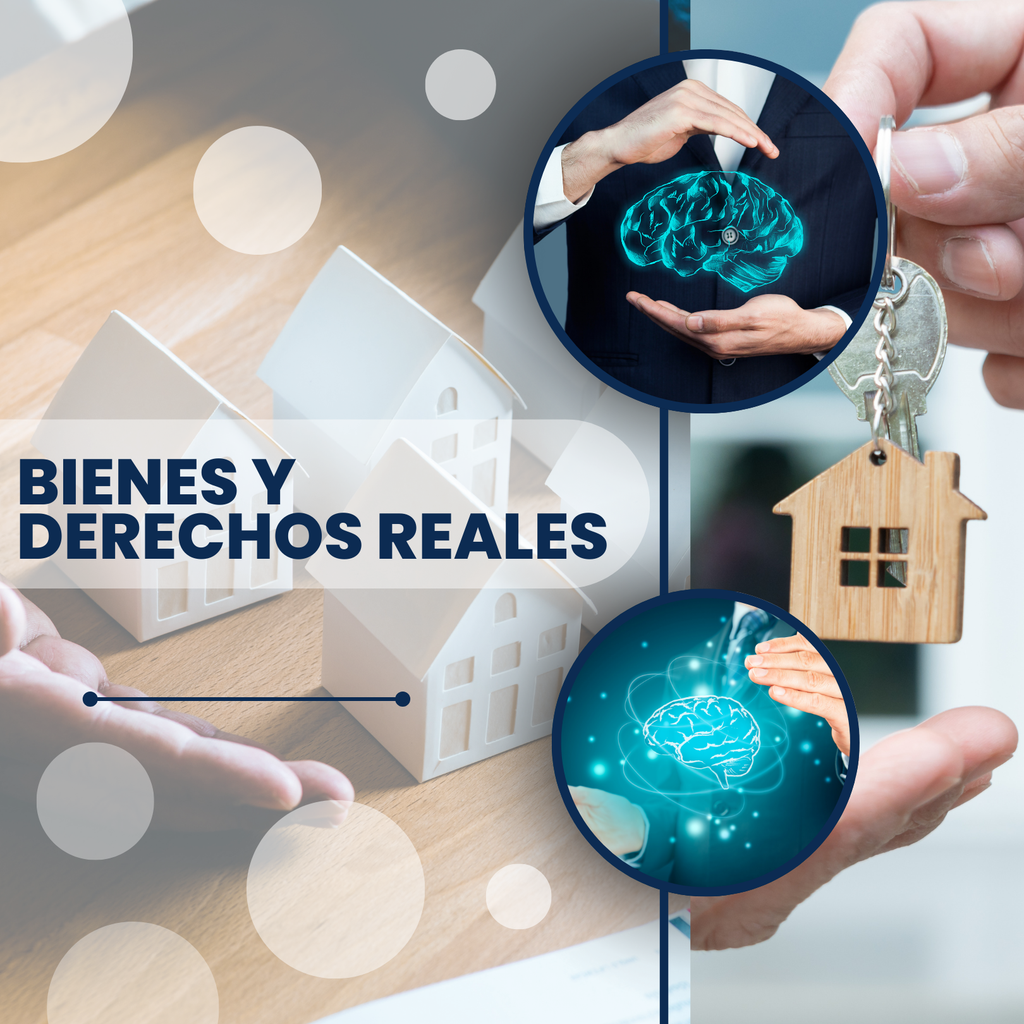 BIENES Y DERECHOS REALES | Moran y Cia